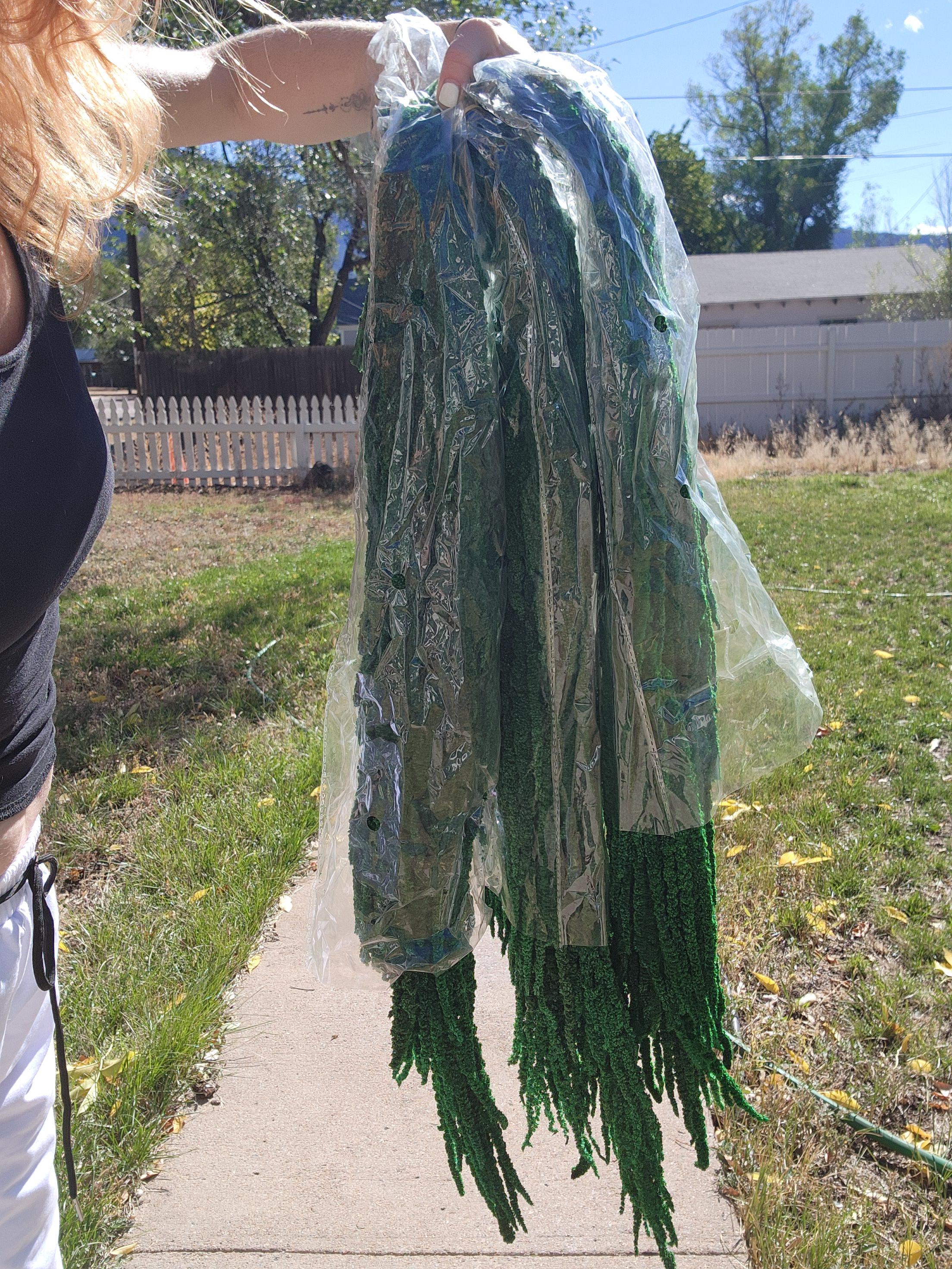 Preserved Dark Green C Hanging Amaranthus | Wedding Holiday Table Decor ...