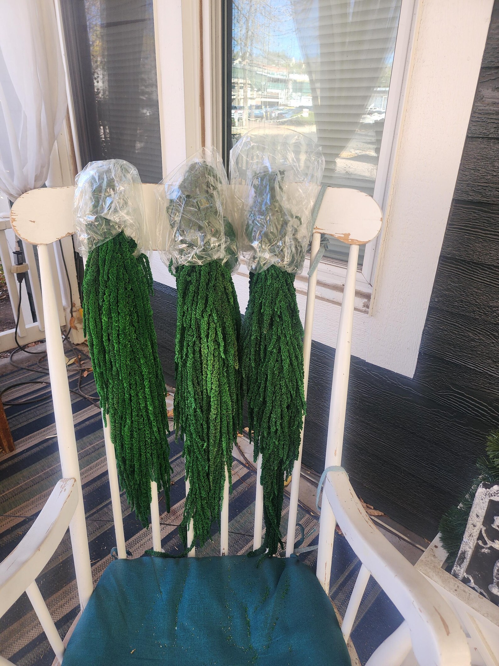 Preserved Dark Green C Hanging Amaranthus | Wedding Holiday Table Decor ...