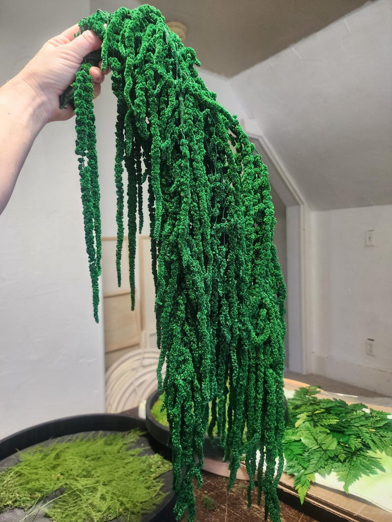 Preserved Dark Green C Hanging Amaranthus | Wedding Holiday Table Decor ...