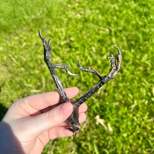 Crow Feet Choose Single Foot or a Pair Corvid Feet English Crow Corvus ...