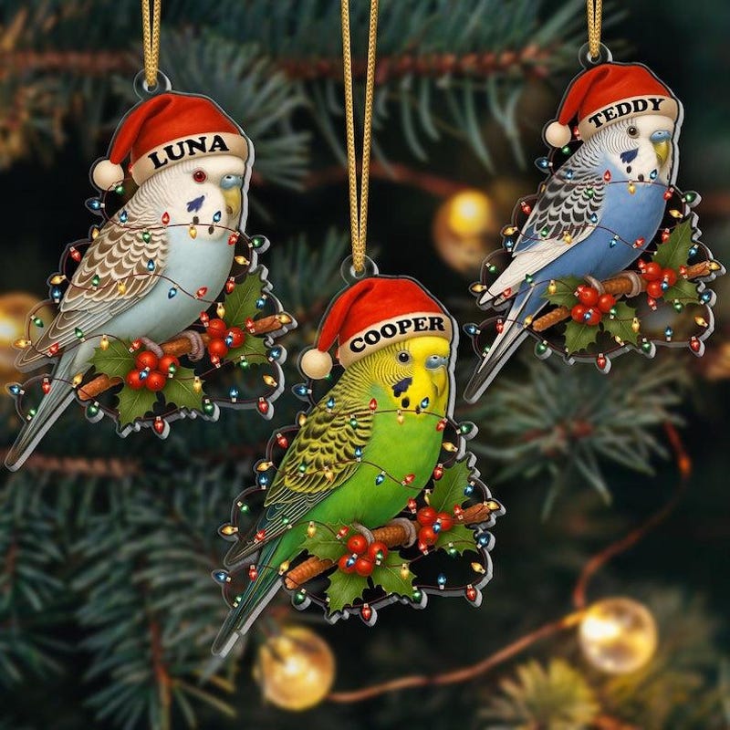 Personalized Budgie Gifts - 60+ Gift Ideas for 2026