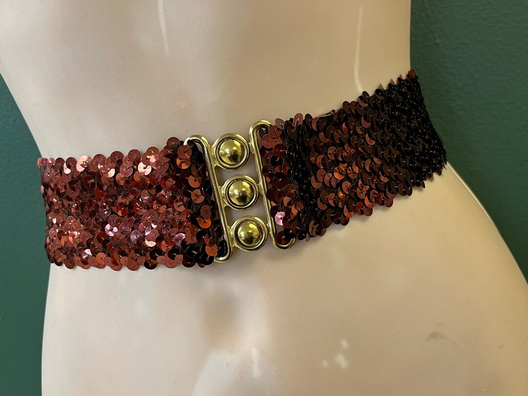 Brown Sequin Stretch Belt 1970s Disco Elastic Waspie One Size - Etsy