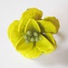 Amazing Layered Flower Power Ring, Size 6.5 - Etsy