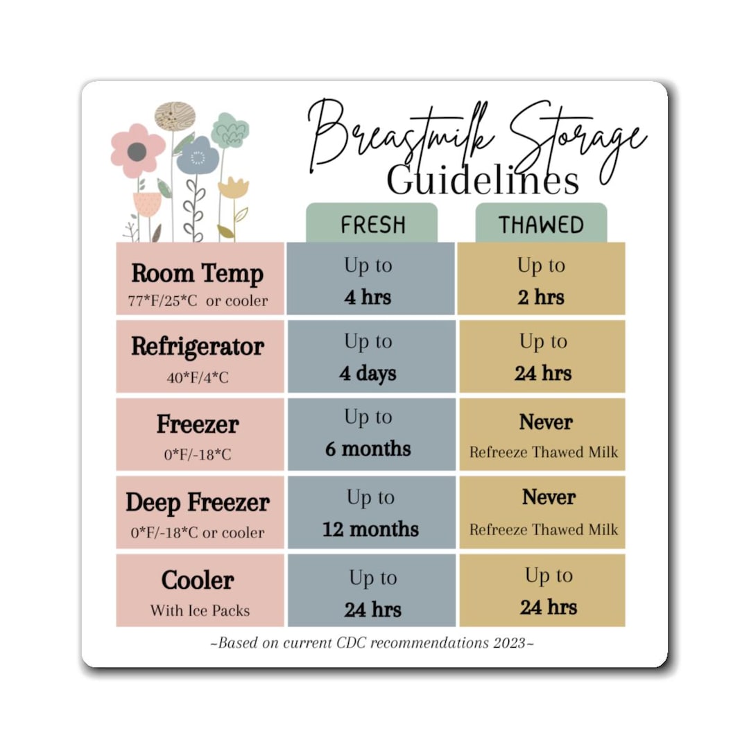 Breastmilk Storage Guidelines Magnet, New Mom Gift, Fridge Magnet for ...
