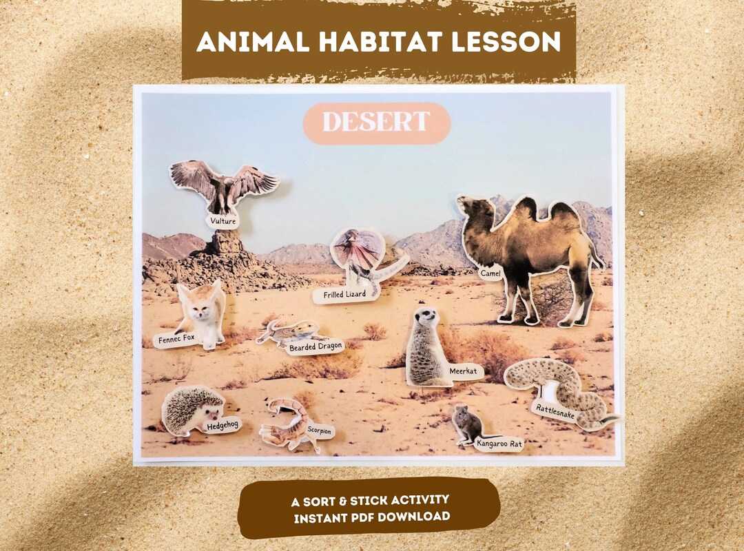 Desert Animals Sorting Activity Kindergarten Homeschool Biology Cut and ...