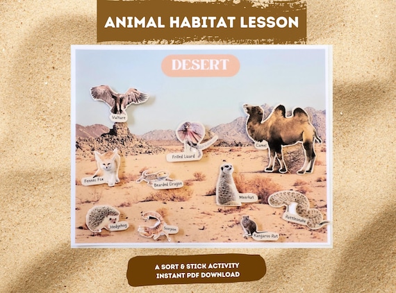 Desert Biome Lesson