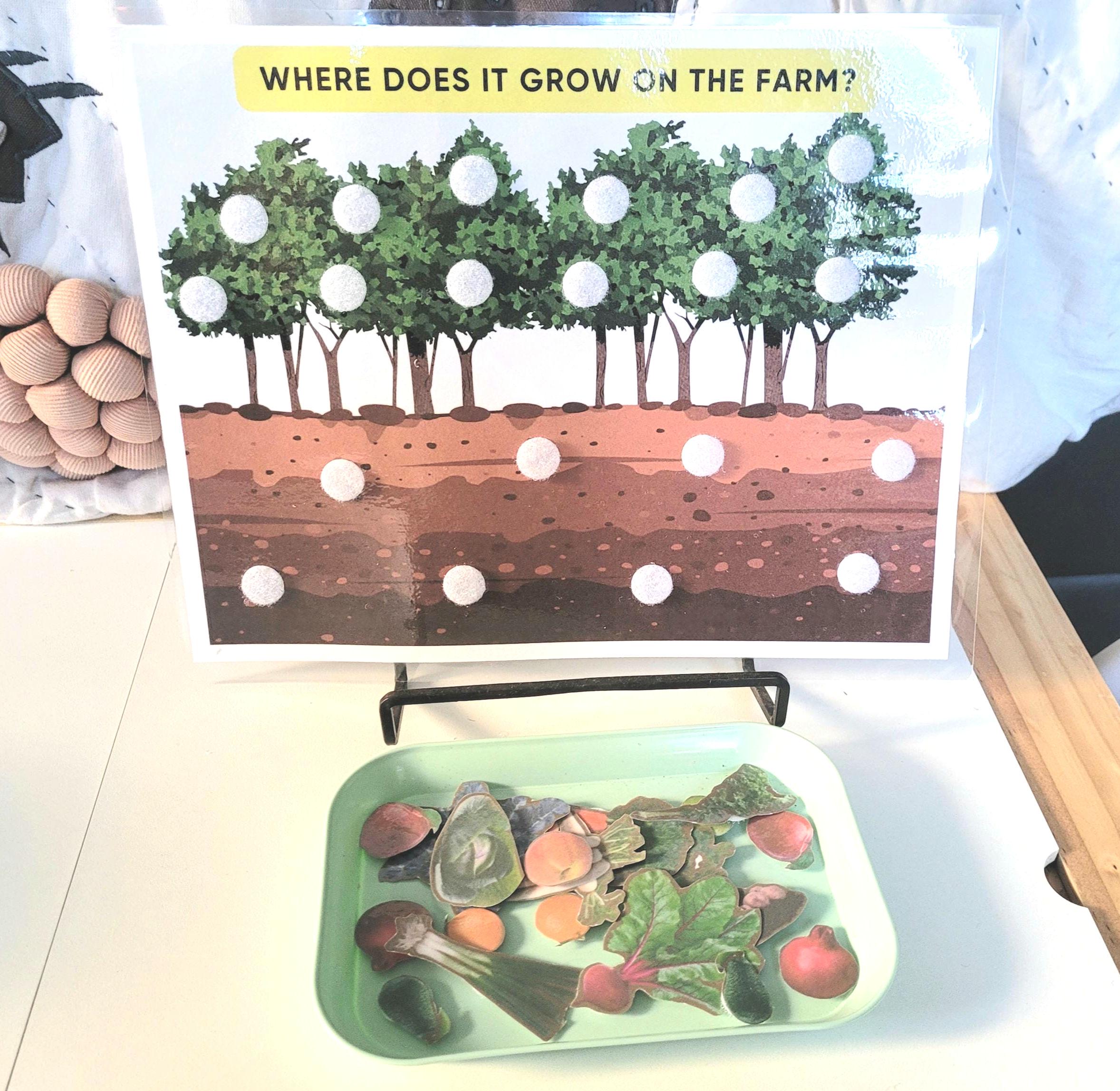 Preschool Activity Garden Sorting and Matching Cut and Paste Fun Kid ...