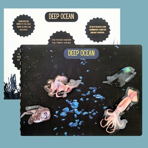 Ocean Animals Habitat Activity Busy Book Aquatic Animal Ecosystems ...