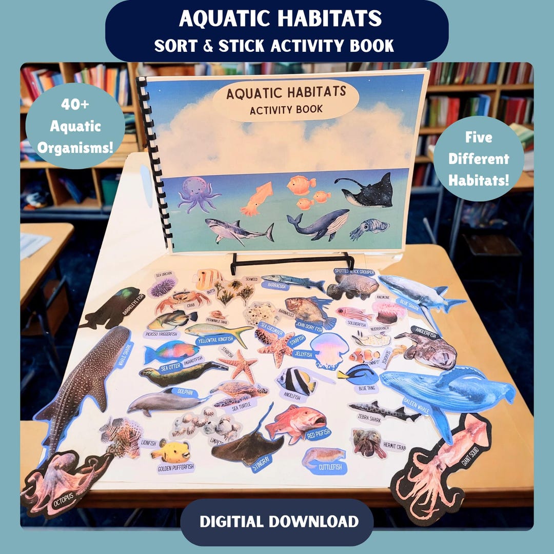 Ocean Animals Habitat Activity Busy Book Aquatic Animal Ecosystems ...