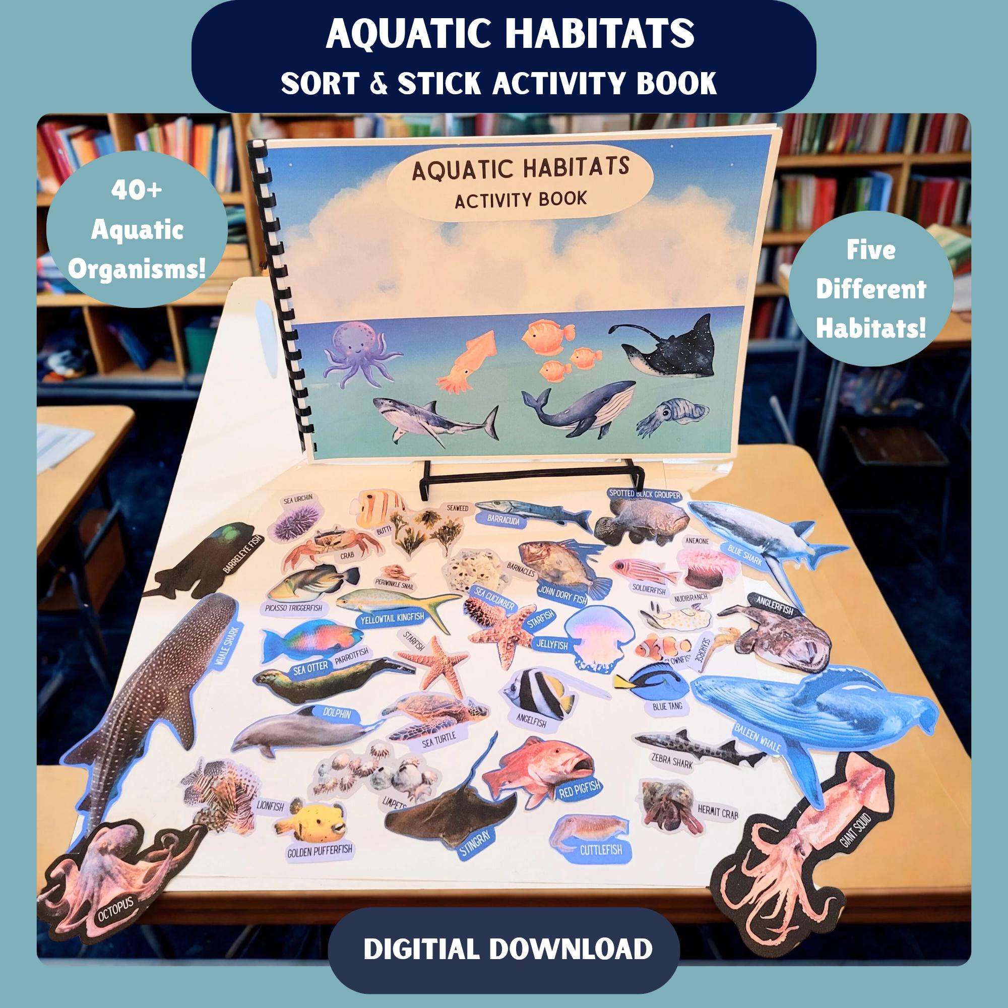 Ocean Animals Habitat Activity Busy Book Aquatic Animal Ecosystems ...