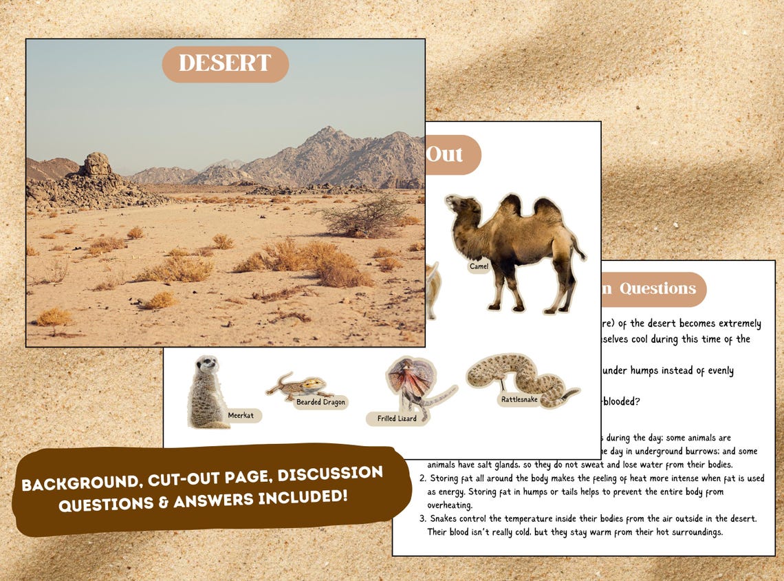 Desert Animals Sorting Activity Kindergarten Homeschool Biology Cut and ...