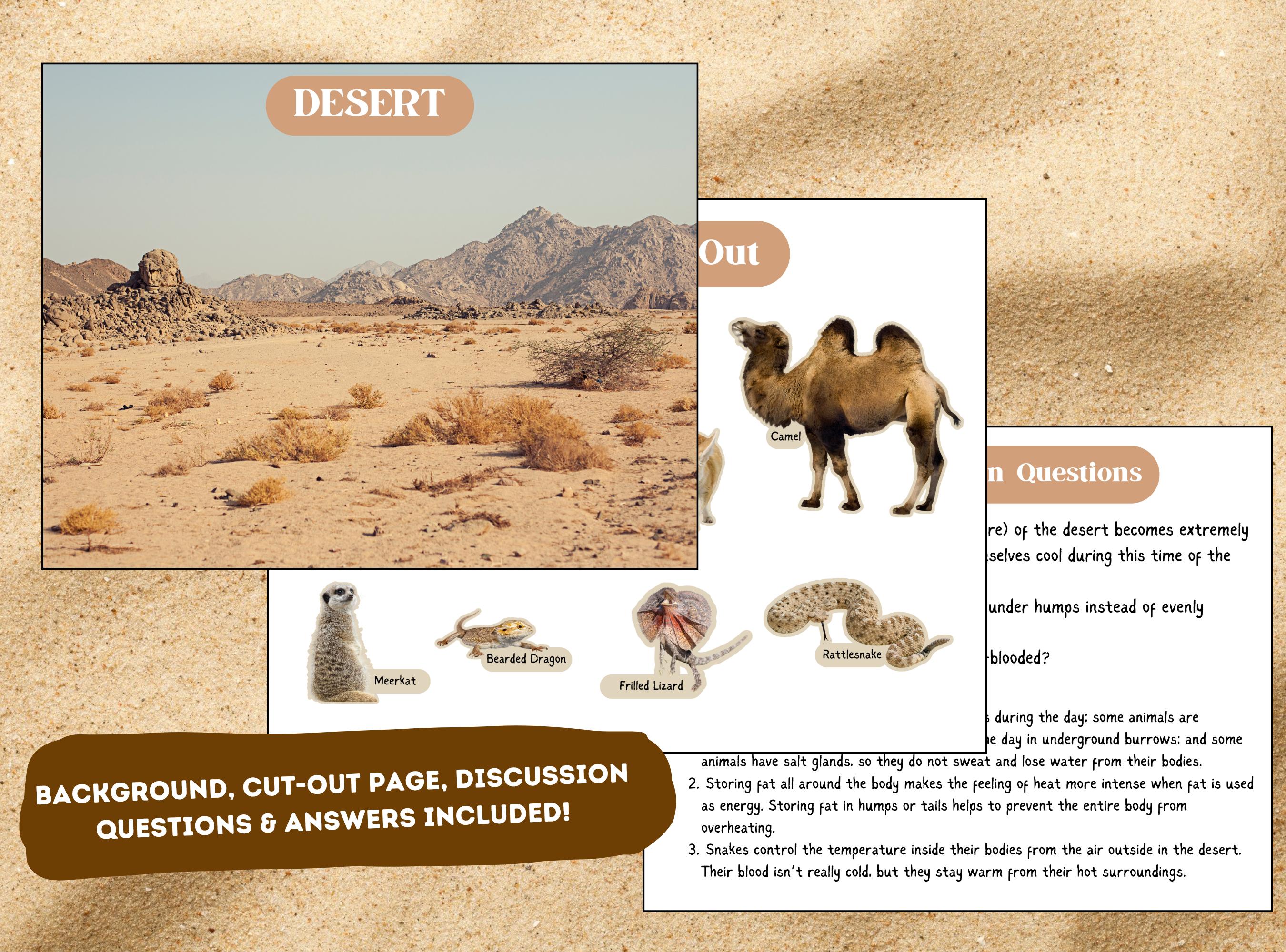 Desert Animals Sorting Activity Kindergarten Homeschool Biology Cut and ...