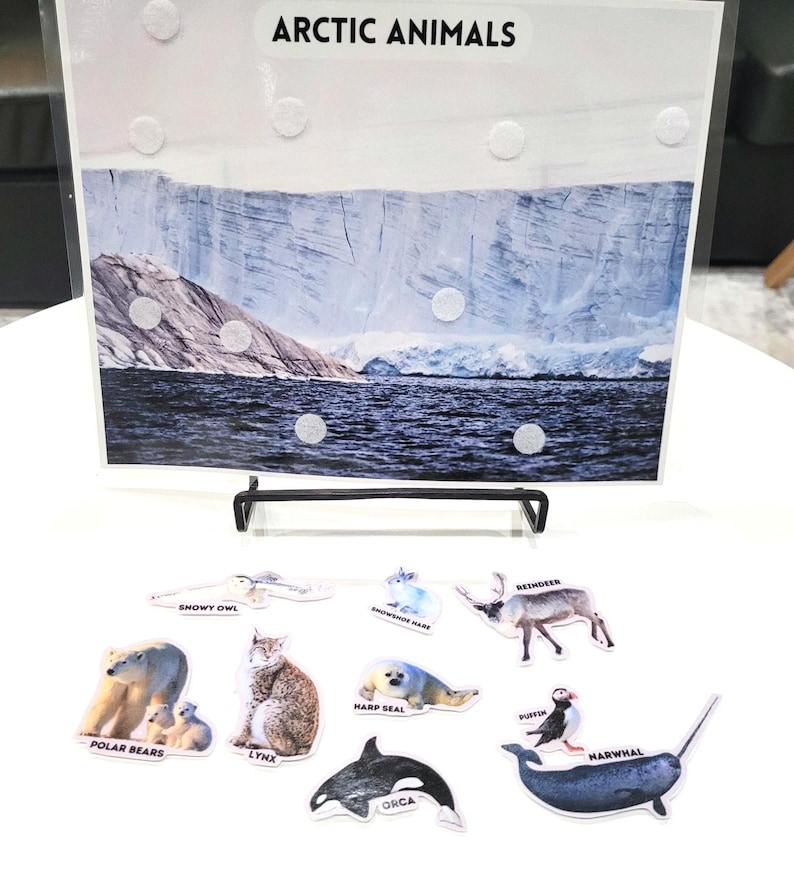 Arctic Animals, Tundra Biome, Polar Animal Sorting Activity ...
