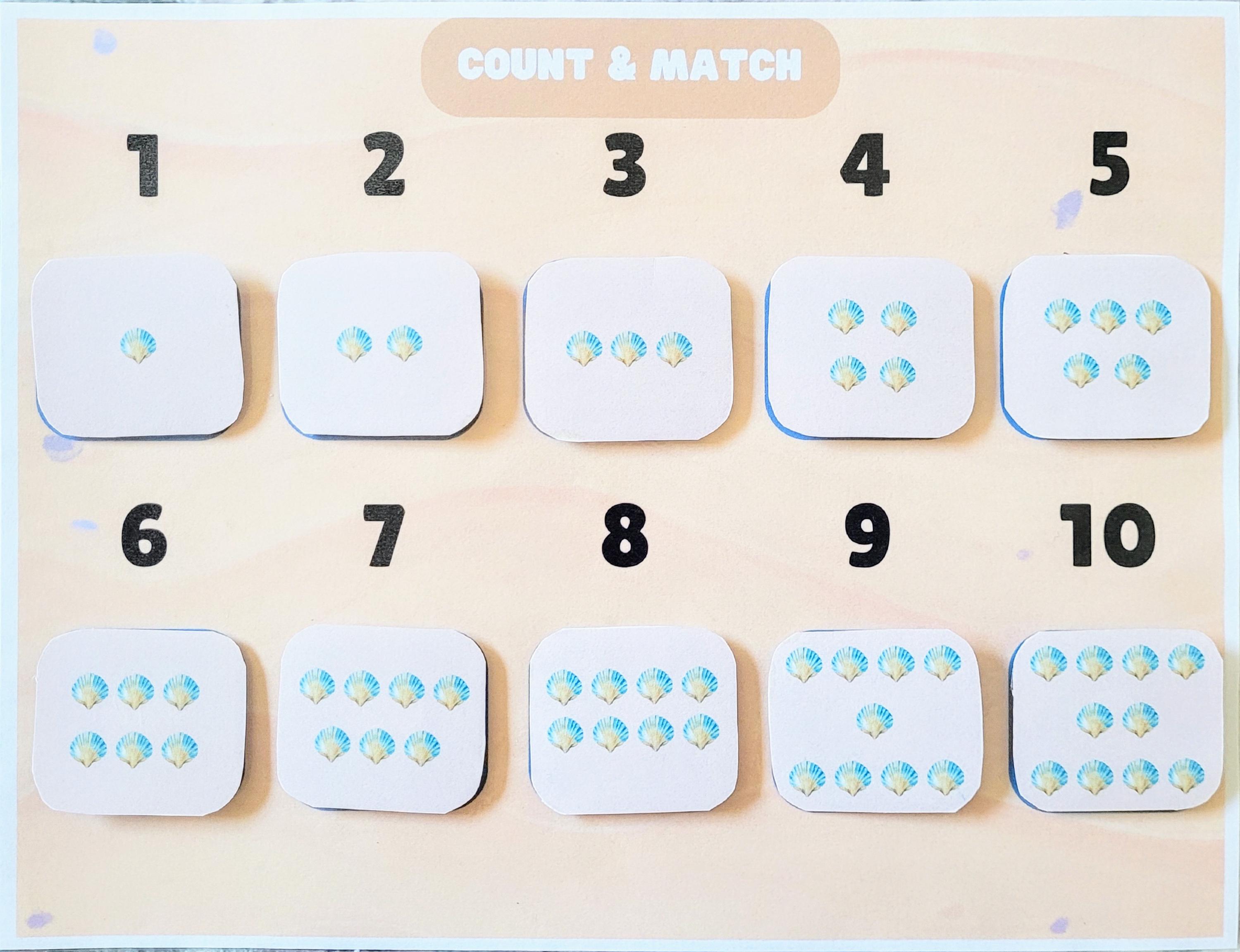 Preschool Number Recognition Activity, Sea Creatures & Shells (PDF ...