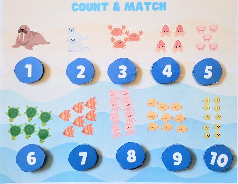 Preschool Number Recognition Activity, Sea Creatures & Shells (PDF ...