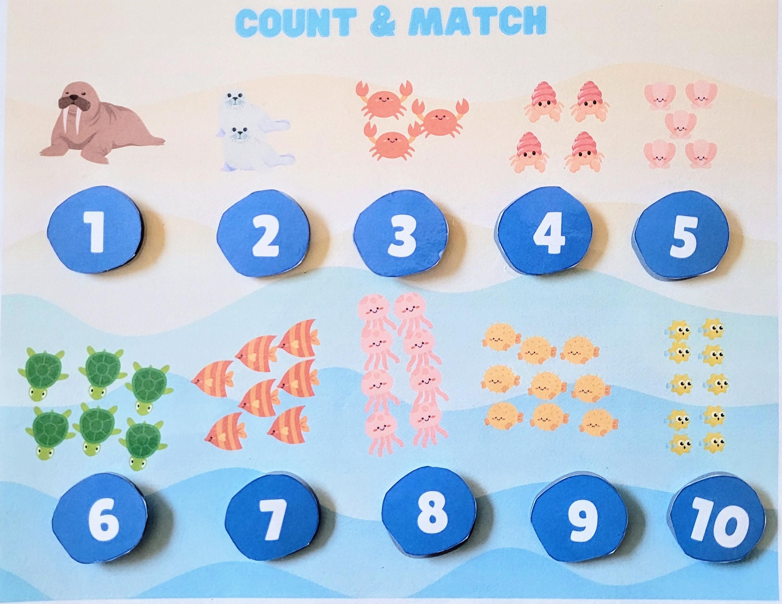 Preschool Number Recognition Activity, Sea Creatures & Shells (PDF ...