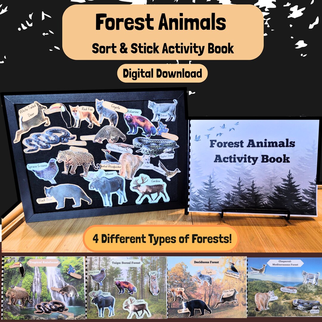 Forest Biomes for Kids, Animal Habitats Activity Book, Deciduous Forest ...