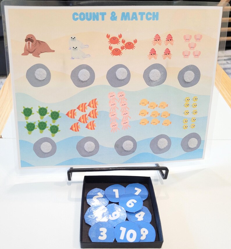 Preschool Number Recognition Activity, Sea Creatures & Shells (PDF ...