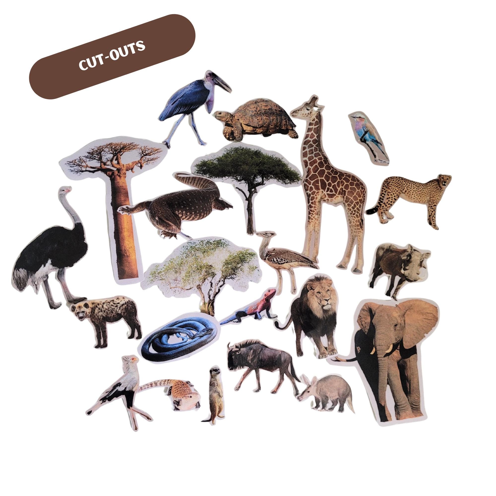 Safari Animal Grassland Habitat Savannah Biome Science Printable Busy ...