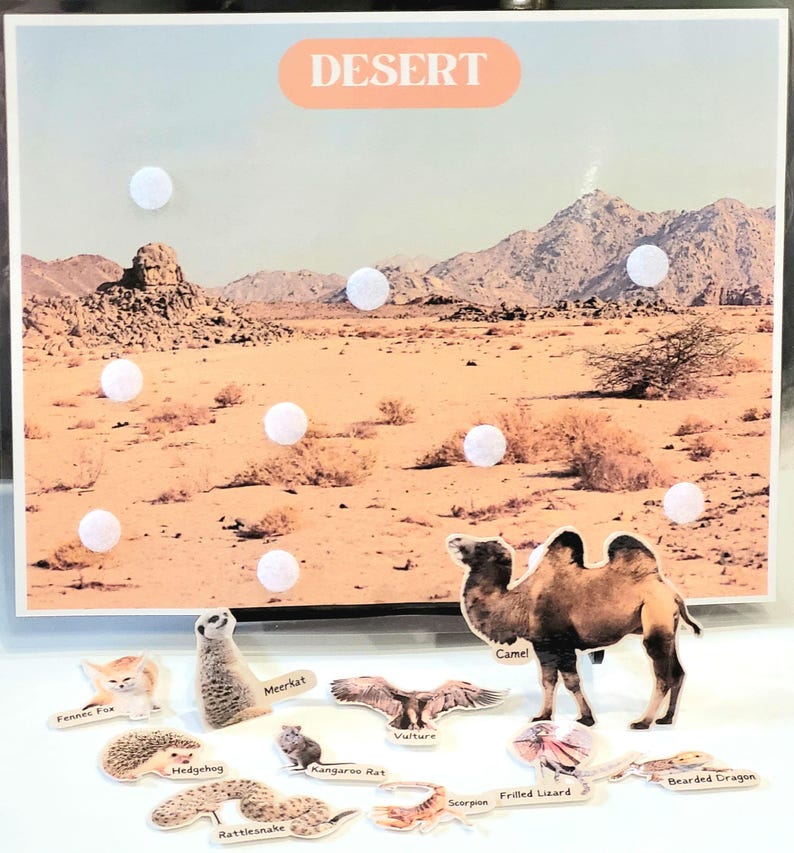 Desert Animals Sorting Activity Kindergarten Homeschool Biology Cut and ...