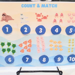Preschool Number Recognition Activity, Sea Creatures & Shells (PDF ...