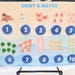 Preschool Number Recognition Activity, Sea Creatures & Shells (PDF ...
