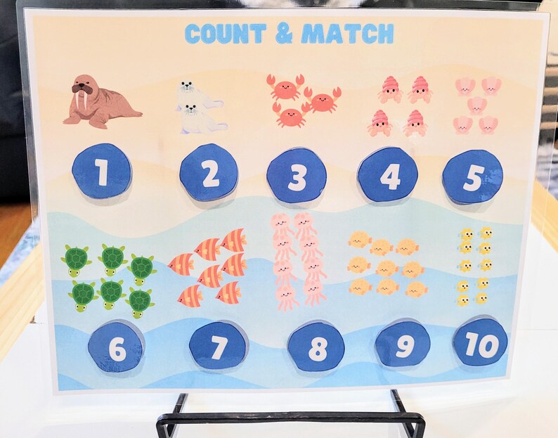 Preschool Number Recognition Activity, Sea Creatures & Shells (PDF ...