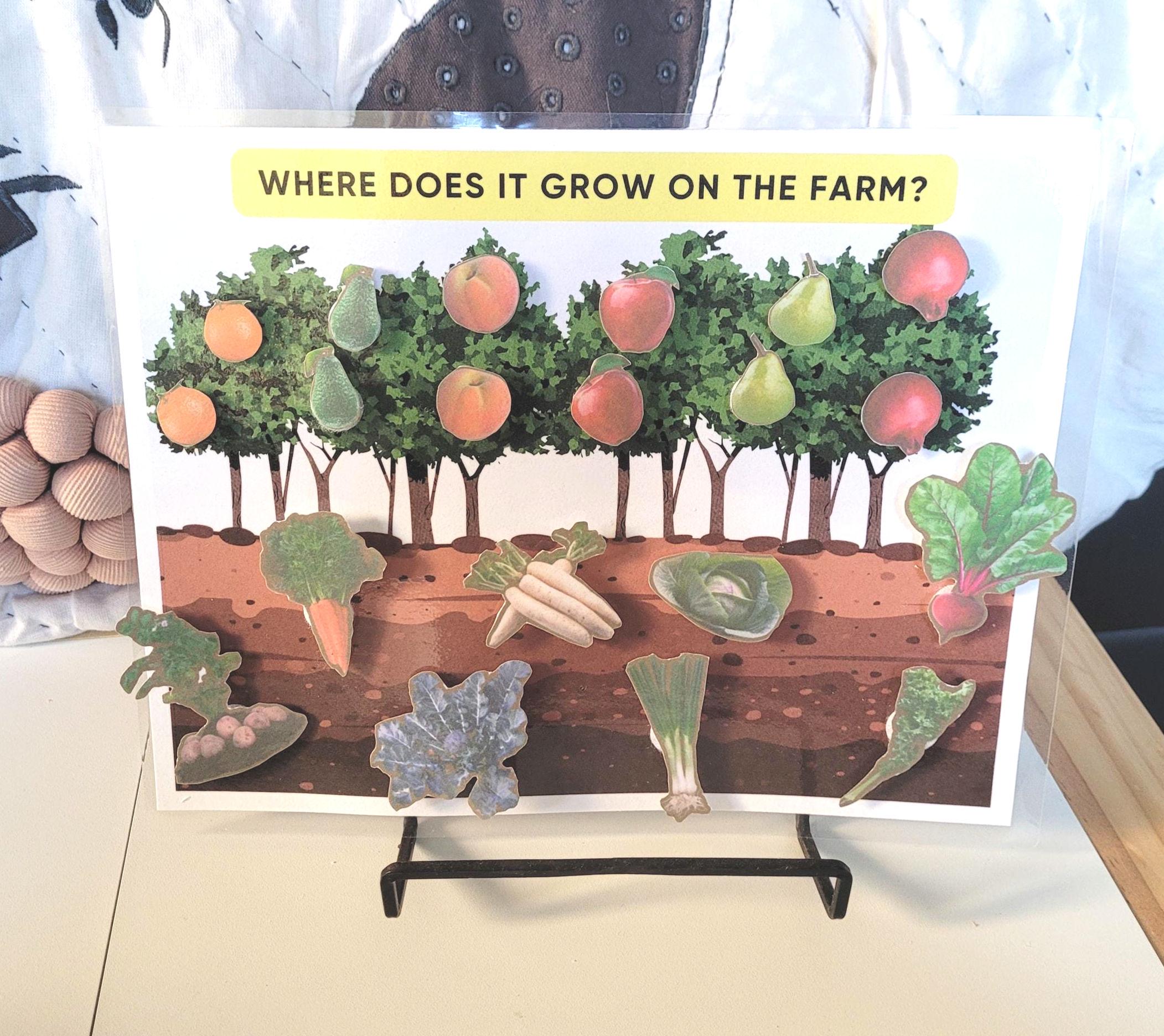 Preschool Activity Garden Sorting and Matching Cut and Paste Fun Kid ...