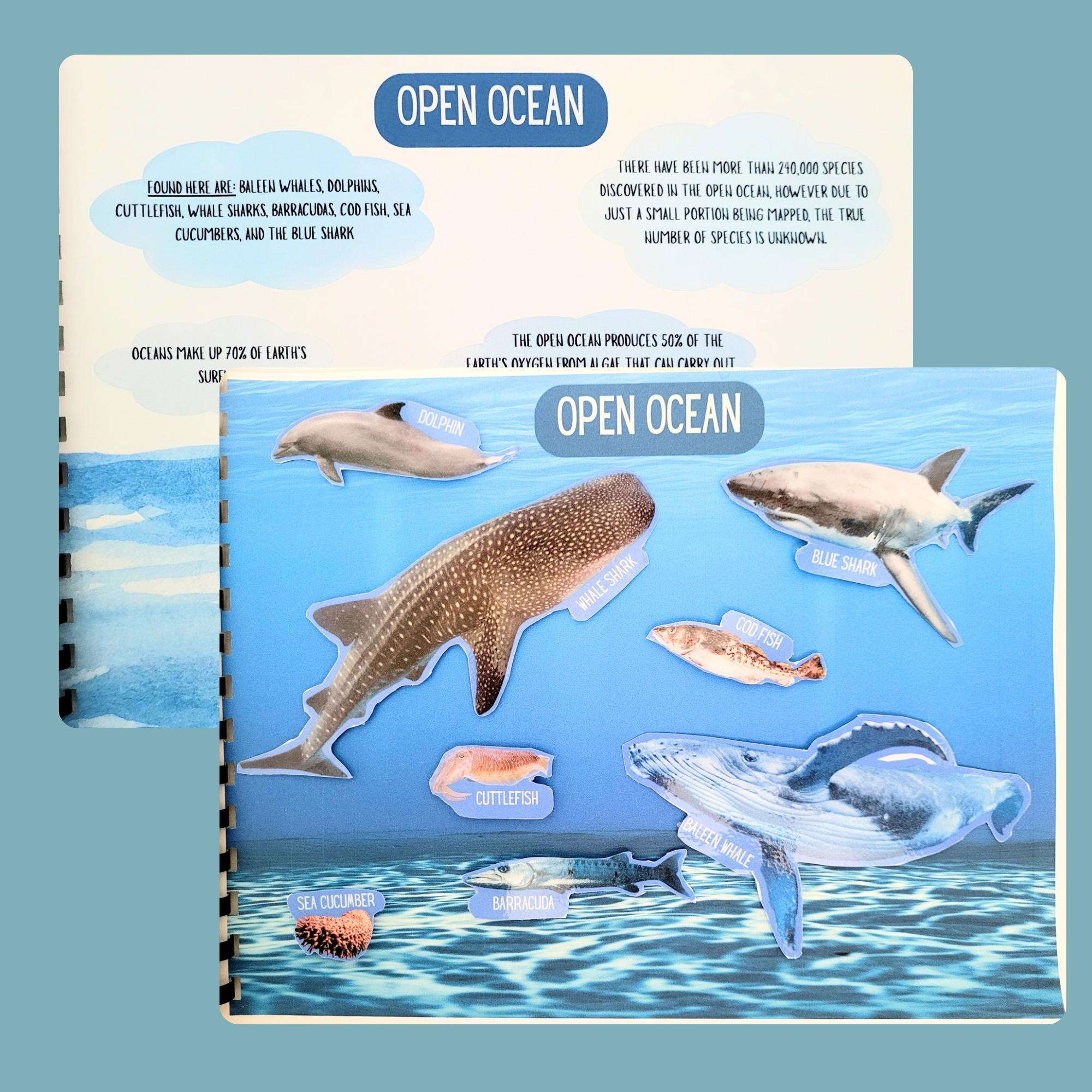 Ocean Animals Habitat Activity Busy Book Aquatic Animal Ecosystems ...