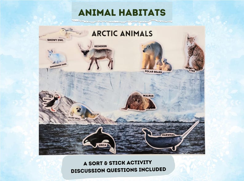 Arctic Animals, Tundra Biome, Polar Animal Sorting Activity ...