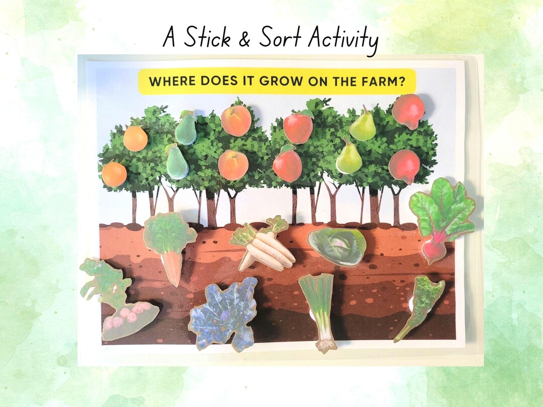 Preschool Activity Garden Sorting and Matching Cut and Paste Fun Kid ...