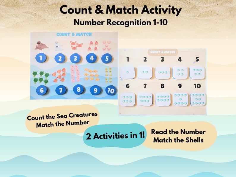 Preschool Number Recognition Activity, Sea Creatures & Shells (PDF ...
