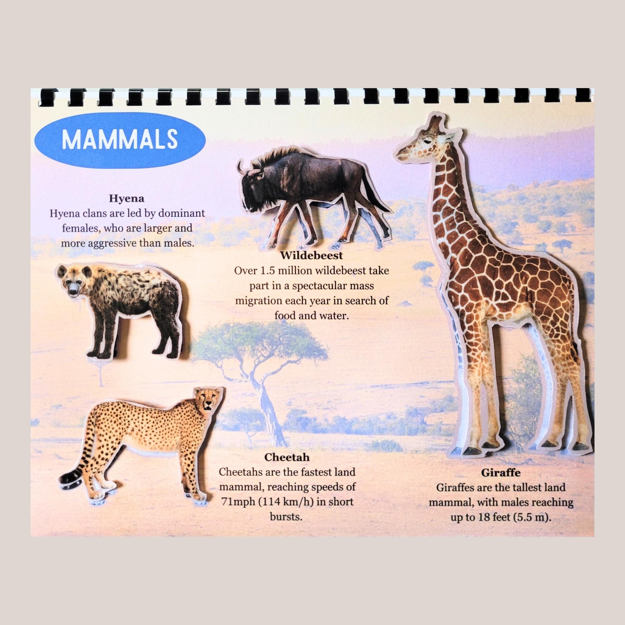 Safari Animal Grassland Habitat Savannah Biome Science Printable Busy ...