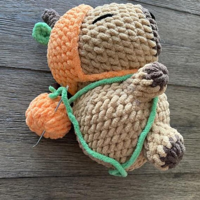 Capibarello Cocosini - Etsy Canada