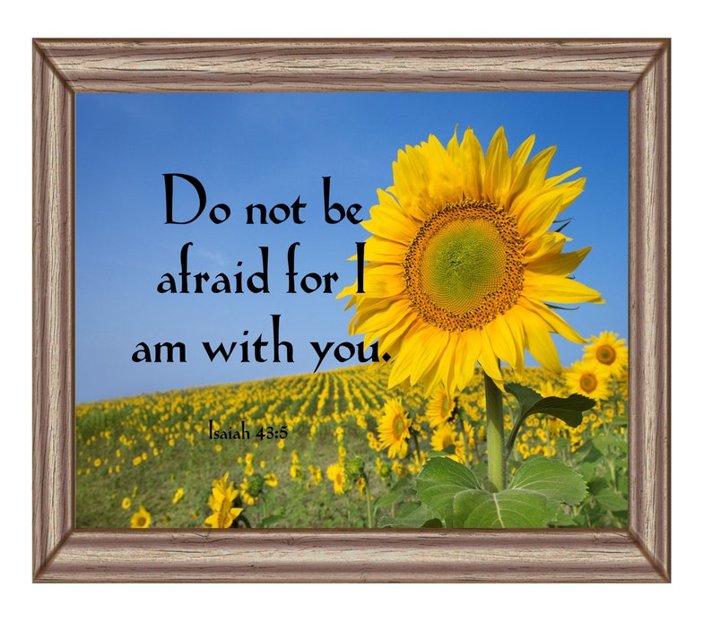 Sunflower Bible Art Print Isaiah 43:5 Do Not Be Afraid Jesus Christ is ...