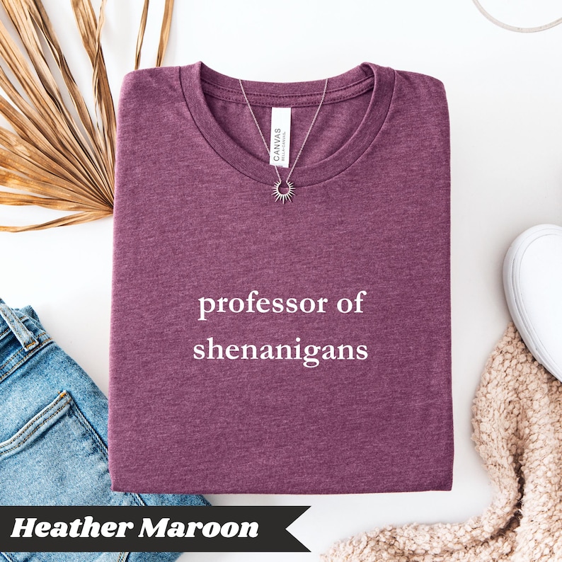 Professor of Shenanigans Shirt Funnny Humor Shirt Unhinged Funny Shirt ...