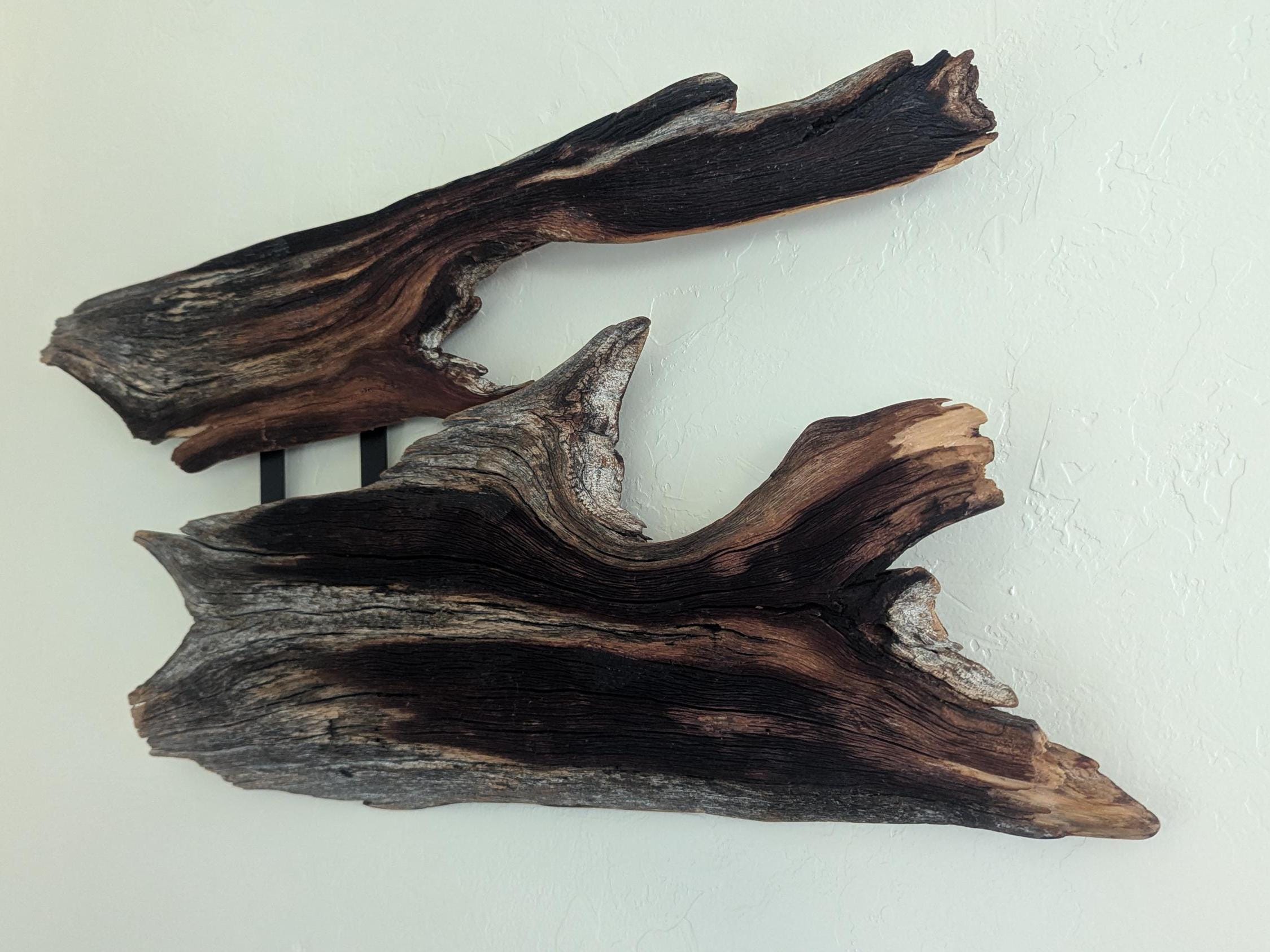 Wood Wall Art, Real Foraged Burned Wood, Handmade Unique Natural ...