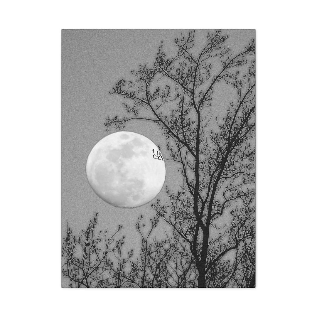 Full Moon in Appalachia From the "return to Burke County" Novel ...