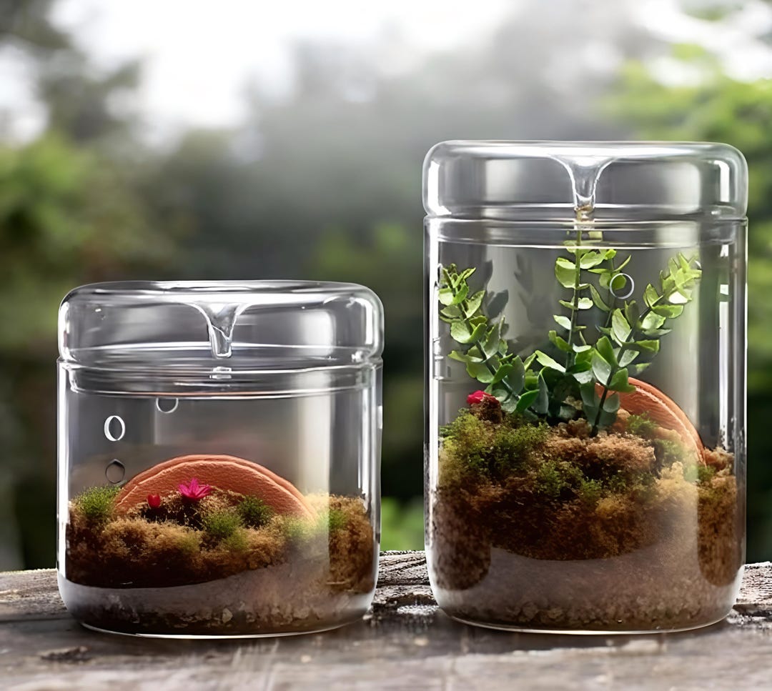 JAMJAR Glass Terrarium: Vented Moss & Rainforest Micro Garden - Etsy
