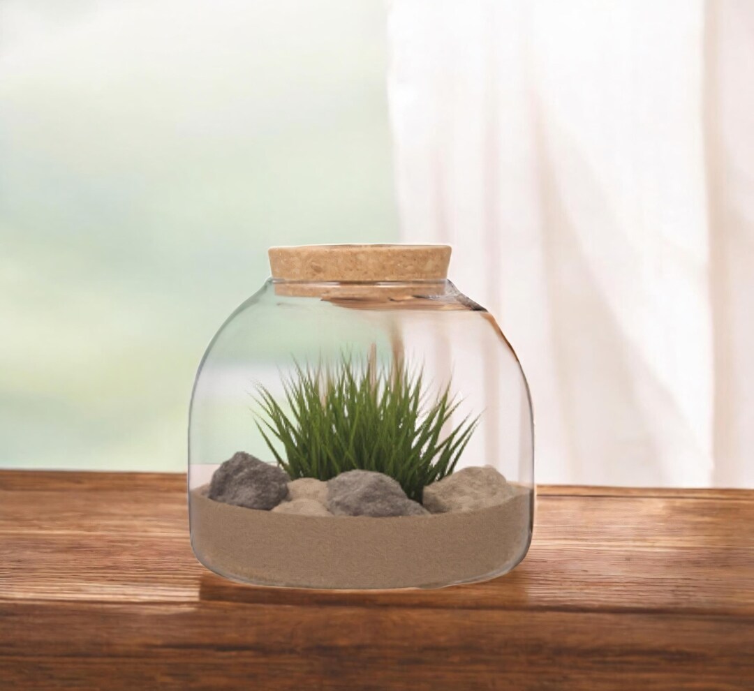 Wide Open Glass Terrarium With Cork Top (5.9 X 5.9 Inches) - Etsy