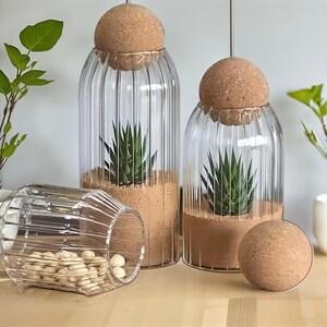 Ribbed Glass Terrarium With Cork Lid: Boho Kitchen Decor - Etsy