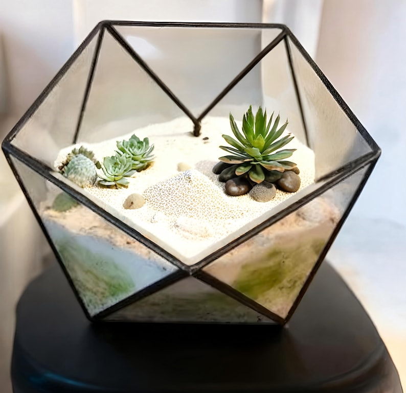 NORDIC GEOMETRIC Elegant Glass Geometric Terrarium Tabletop Planter ...