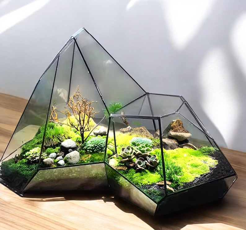 Large Geometric Glass Terrarium: Nordic Rainforest Vase, Desk Decor - Etsy