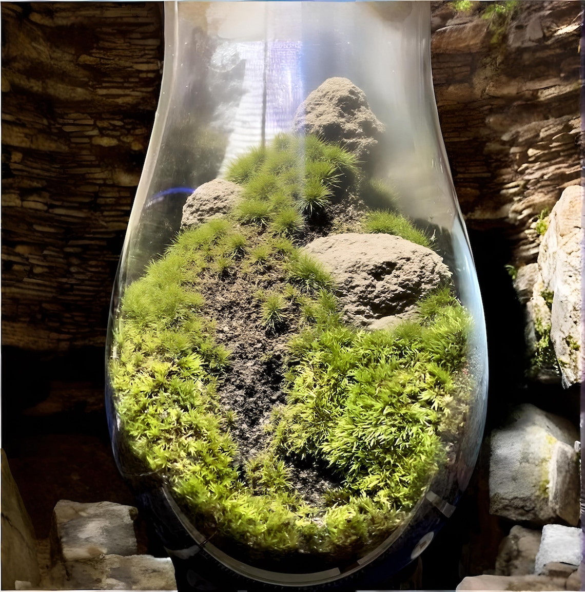 Handmade Water Droplet Glass Terrarium With Cork Lid – Micro Garden ...