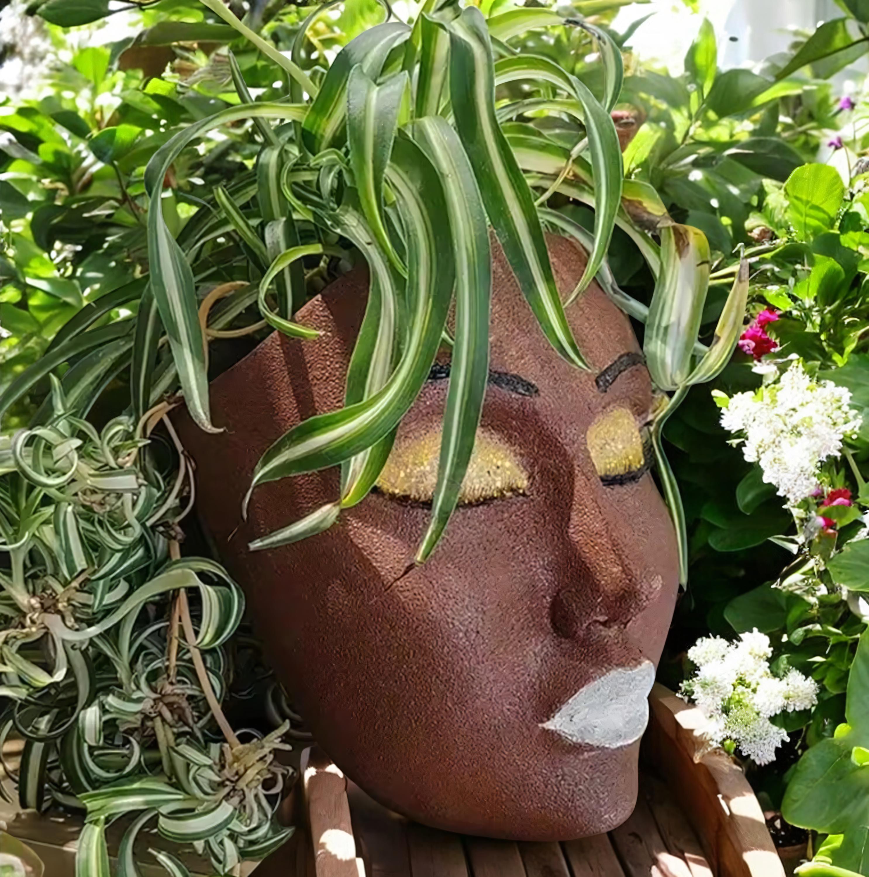 Face Plant Pot: Indoor Outdoor Wall Hanging Basket - Etsy
