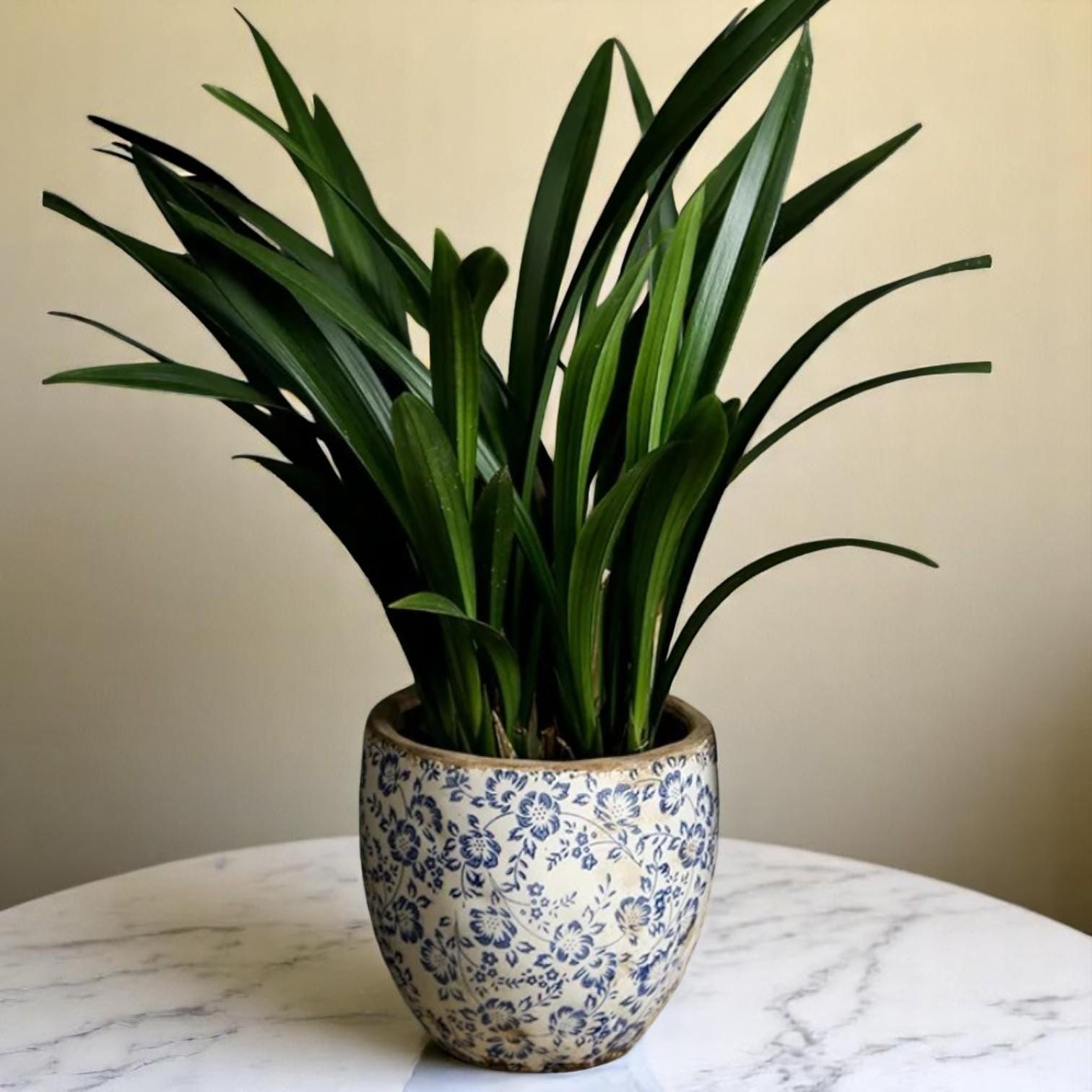 Handpainted Blue & White Ceramic Flower Pot, Indoor Planter - Etsy