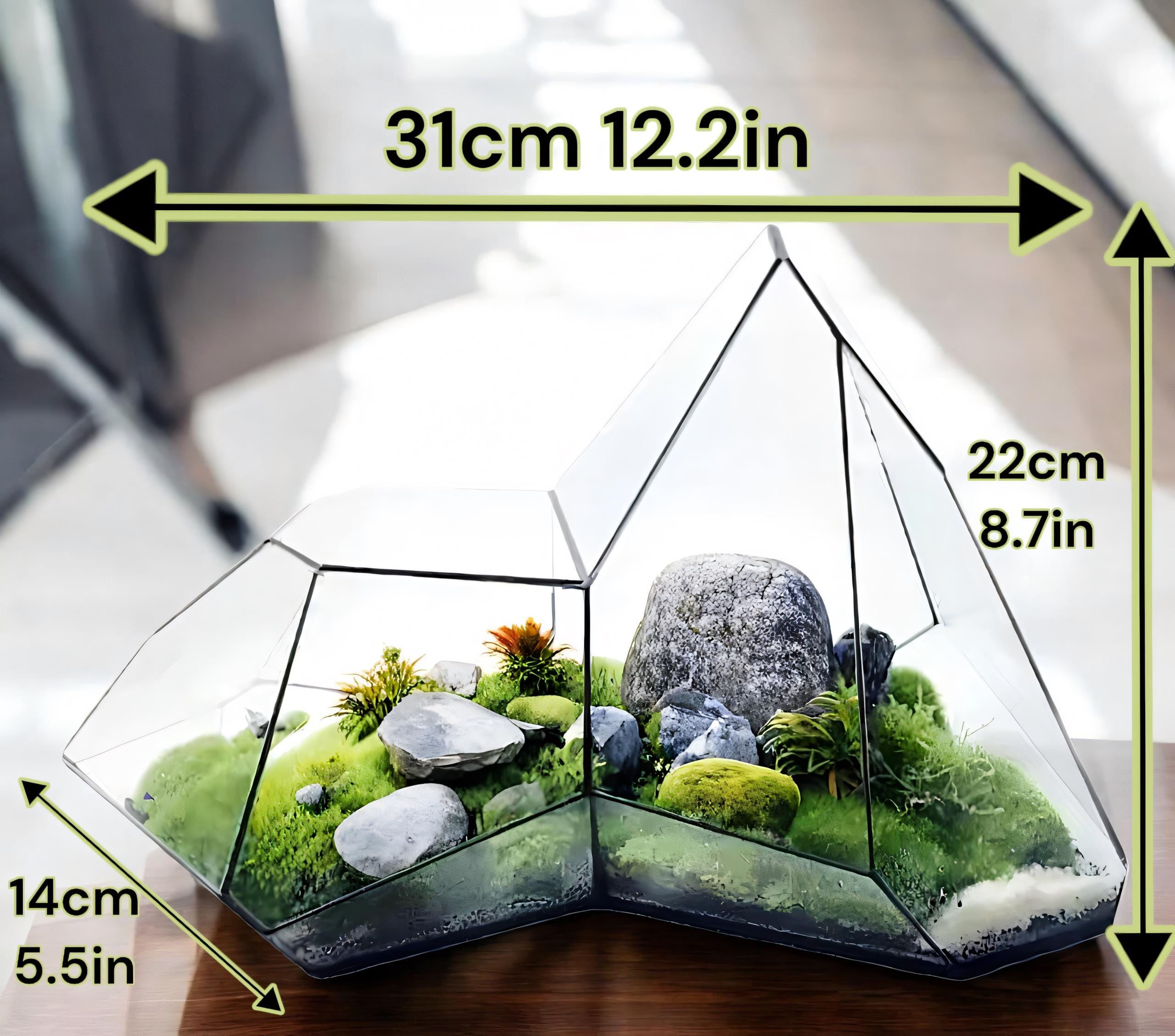 Large Geometric Glass Terrarium: Nordic Rainforest Vase, Desk Decor - Etsy