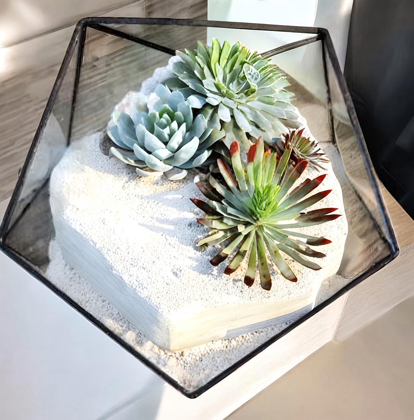 NORDIC GEOMETRIC Elegant Glass Geometric Terrarium Tabletop Planter ...