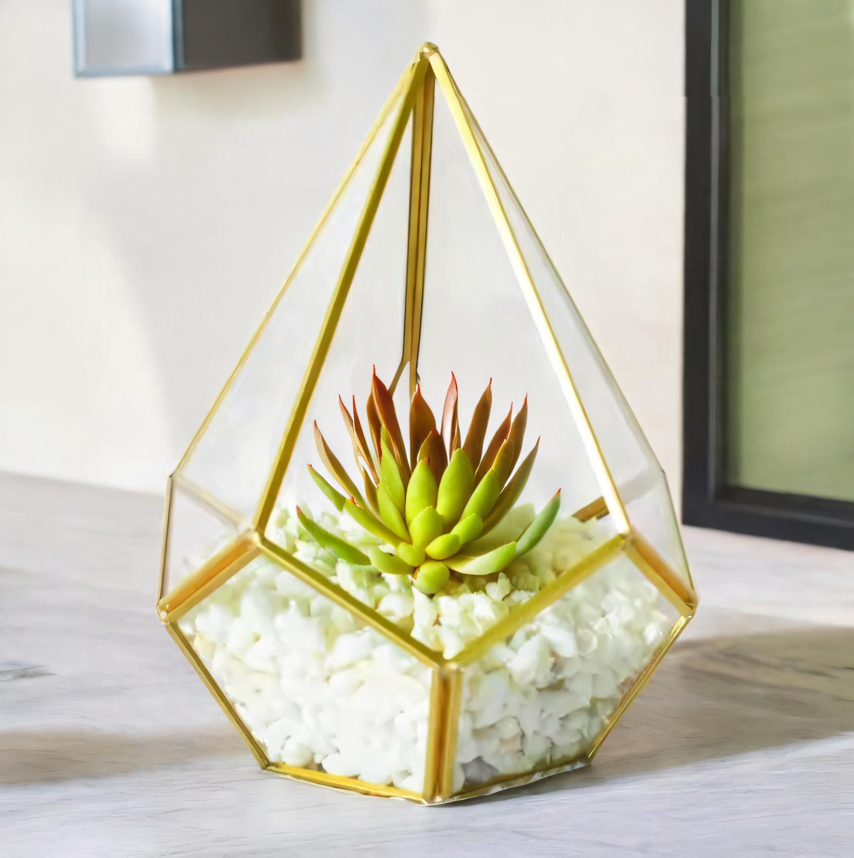 Geometric Terrarium Home Micro Garden - Etsy