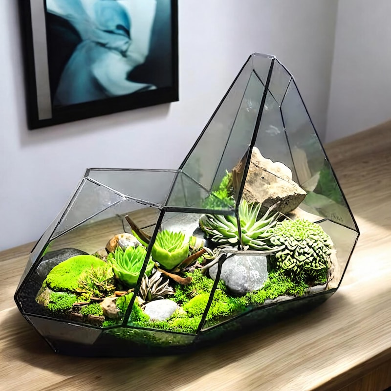 Large Glass Terrarium - Etsy